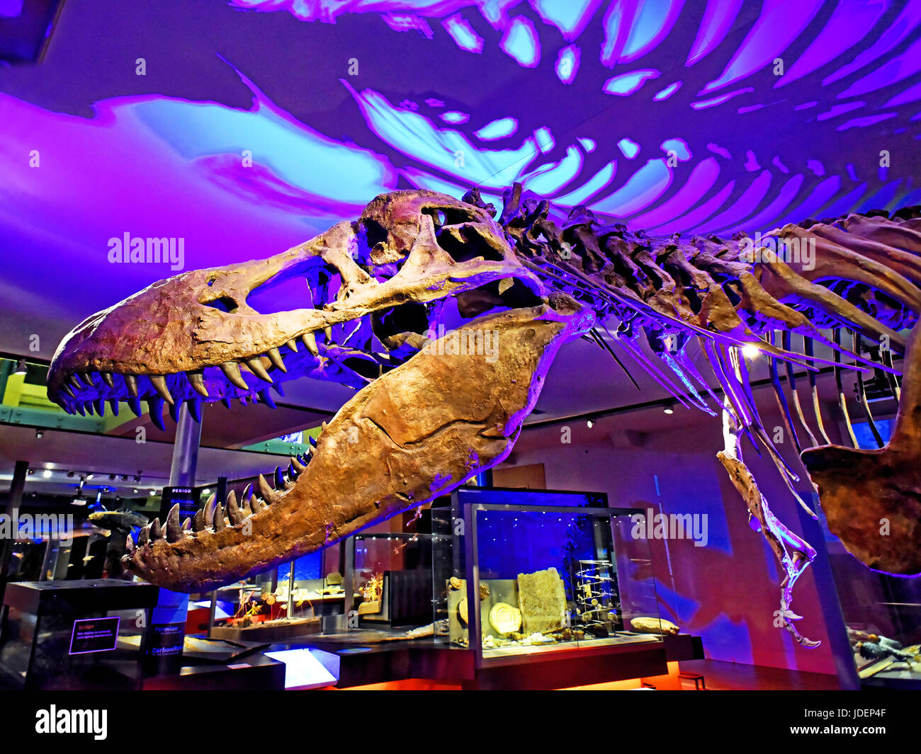 Great north museum hancock hi-res stock photography and images - Alamy