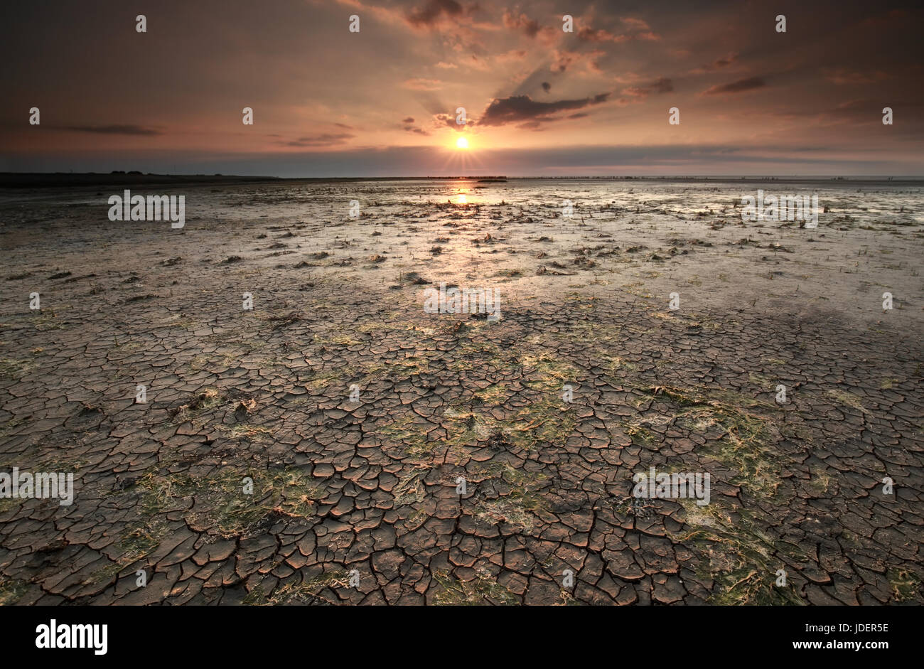 Cracked by the sea hi-res stock photography and images - Alamy