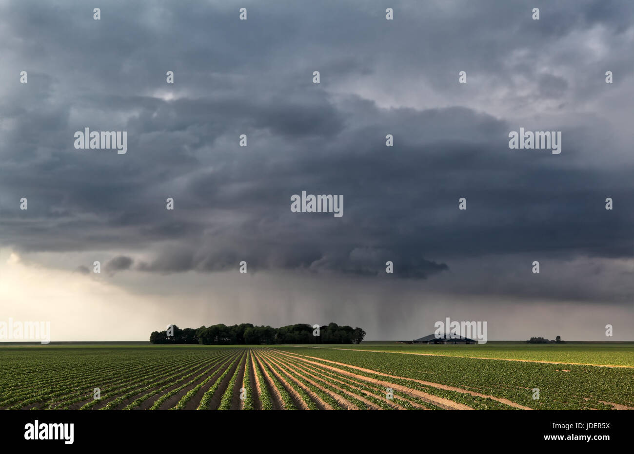raining cloud over field in summer farmland Stock Photo - Alamy