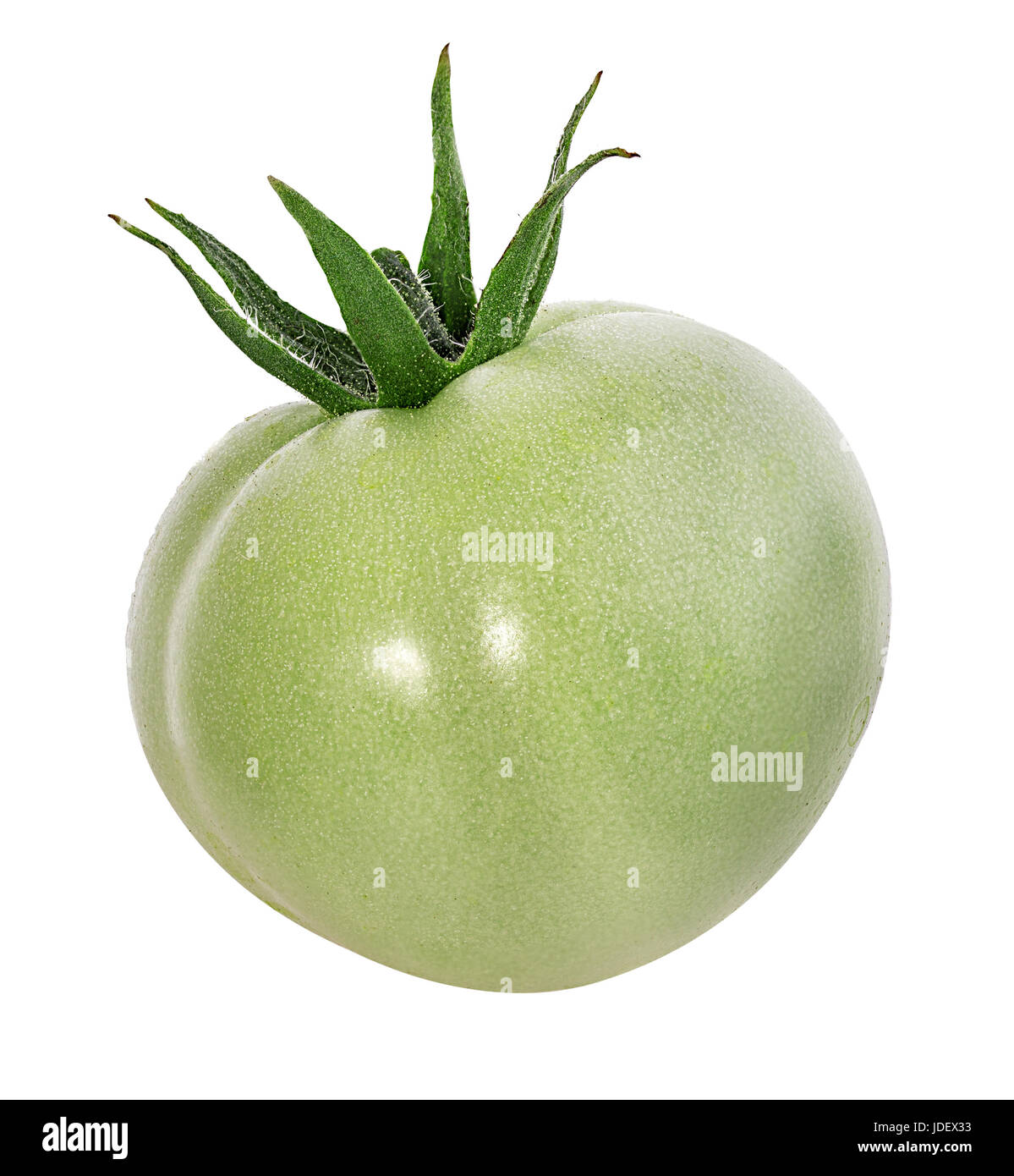 Green small tomato Cut Out Stock Images & Pictures - Alamy