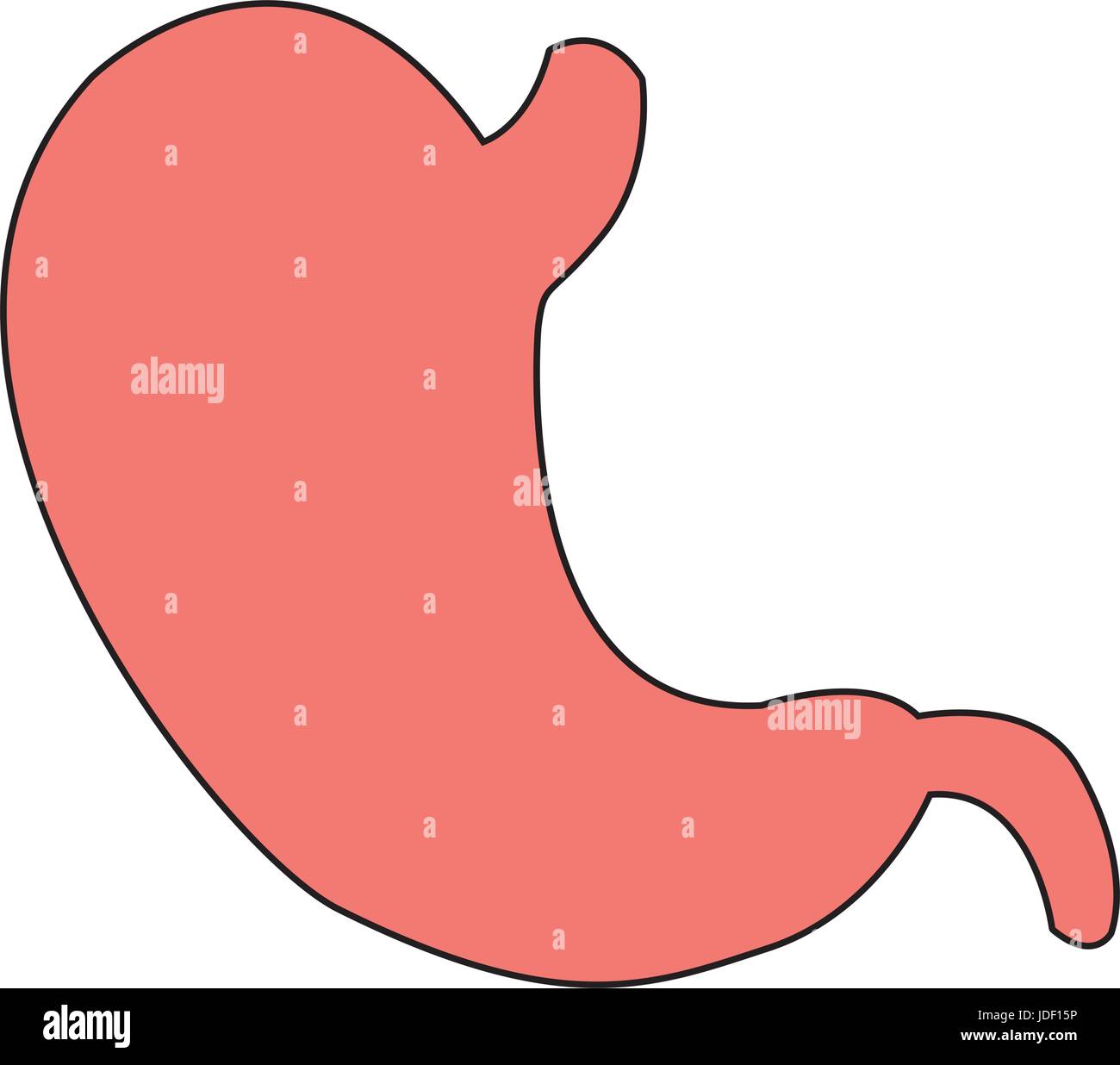 stomach icon human internal organ digestive system anatomy symbol Stock ...
