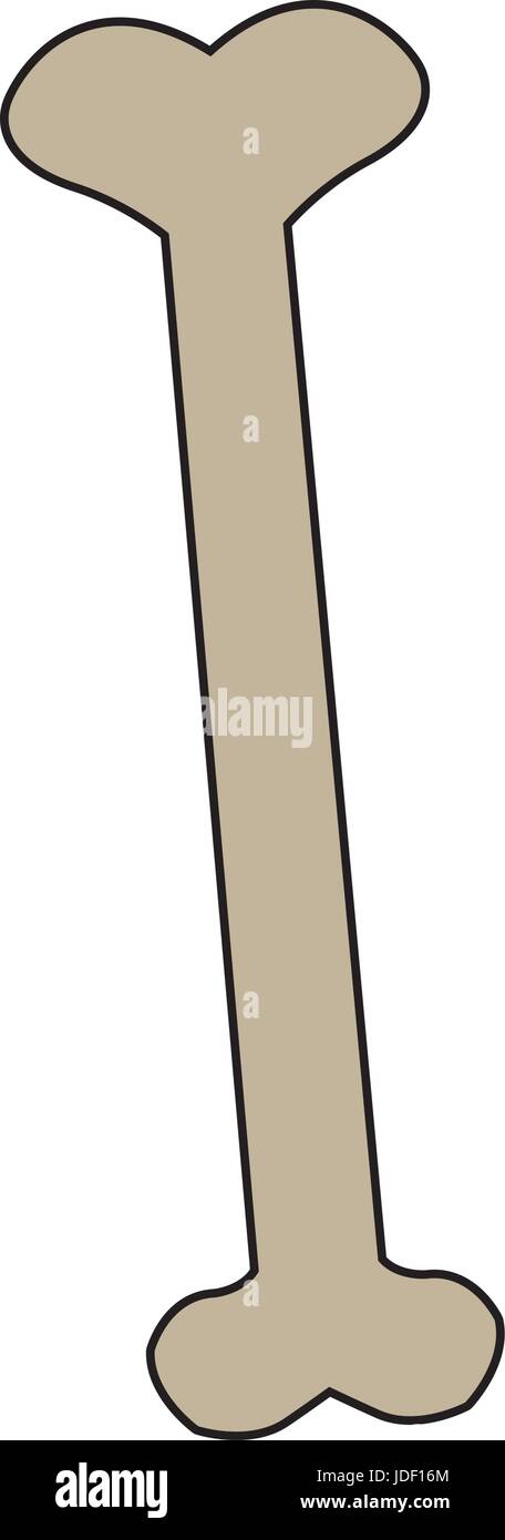 drawing human bone anatomy orthopedic Stock Vector Image & Art - Alamy