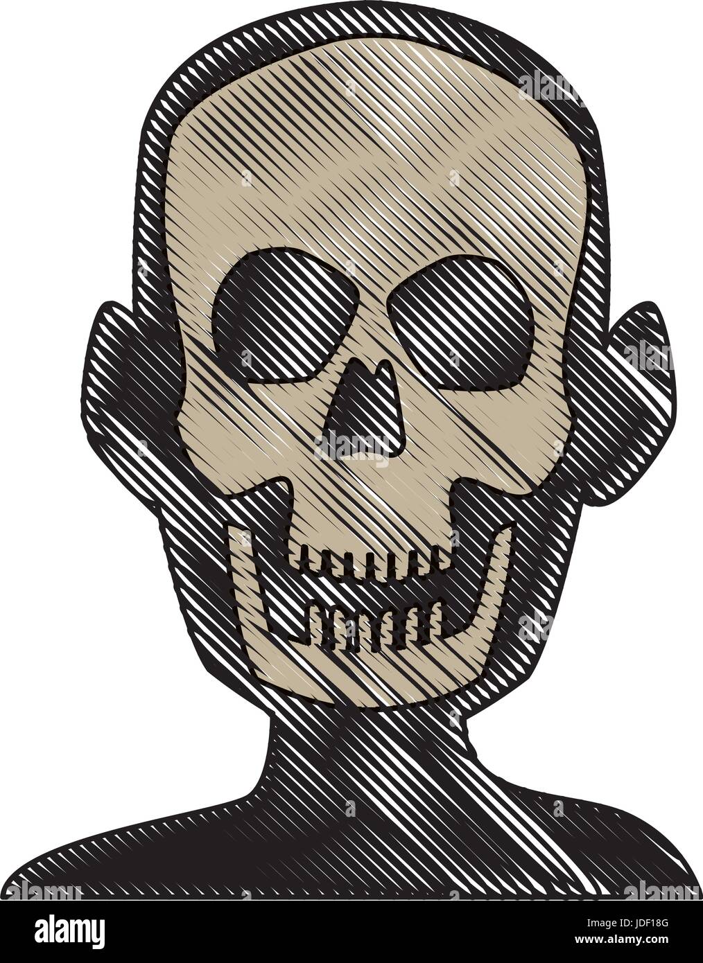 xray of head bone structure of human medical health Stock Vector Image ...