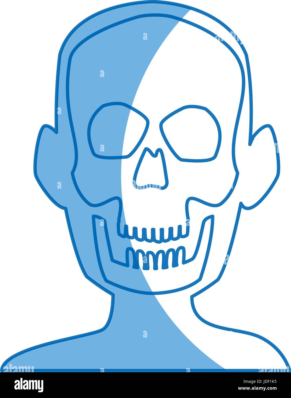 xray of head bone structure of human medical health Stock Vector Image ...