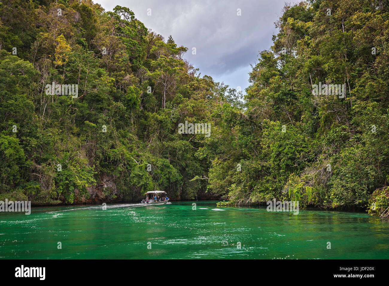 Forested limestone cliffs, Gam, Dampier Strait, Raja Ampat, Western New ...