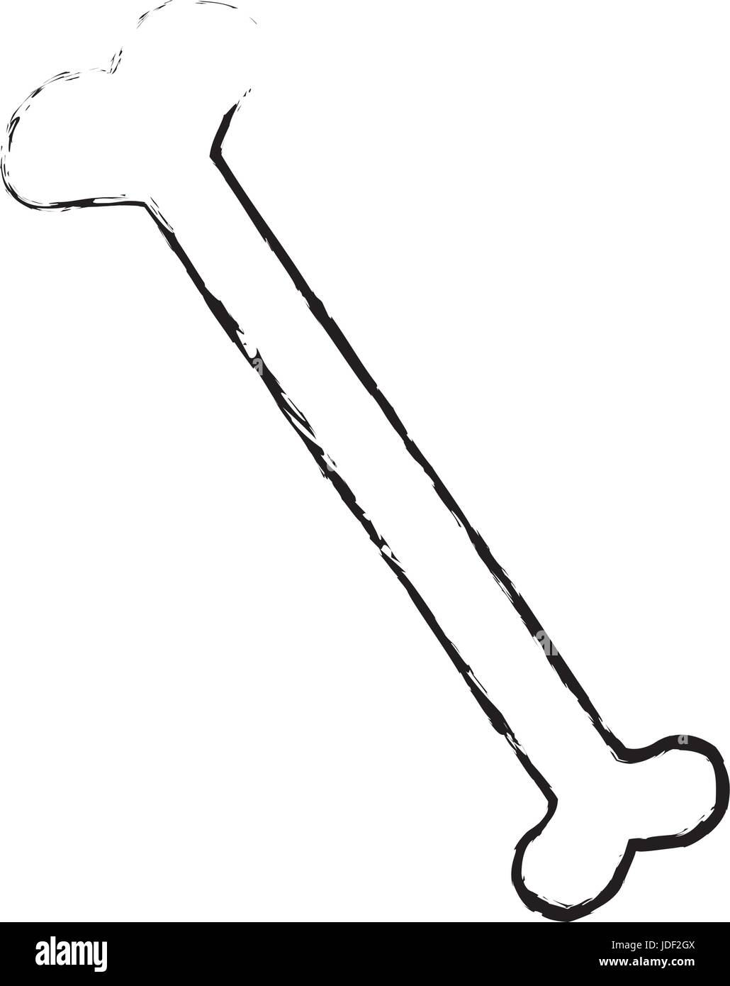 drawing human bone anatomy orthopedic Stock Vector Image & Art - Alamy