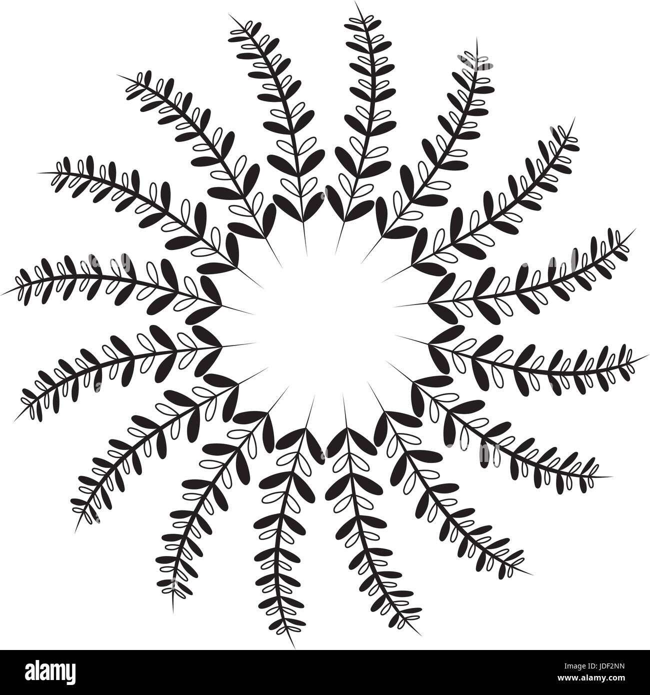 rustic branches with leaves design Stock Vector Image & Art - Alamy