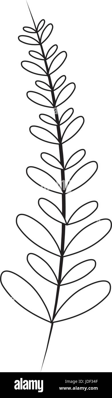 Branch Line Drawing High Resolution Stock Photography and Images - Alamy