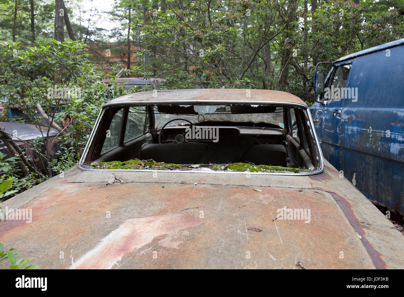 Old wrecked bus hi-res stock photography and images - Alamy