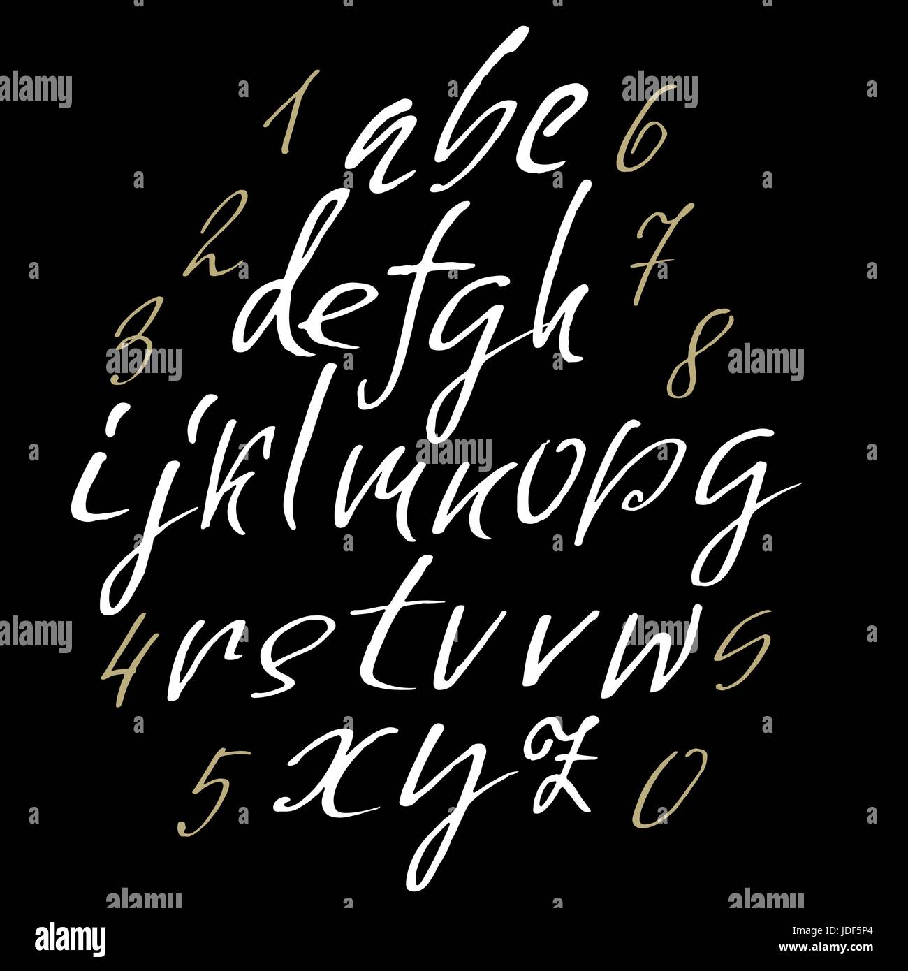 Hand drawn elegant calligraphy font. Modern brush lettering. Grunge ...