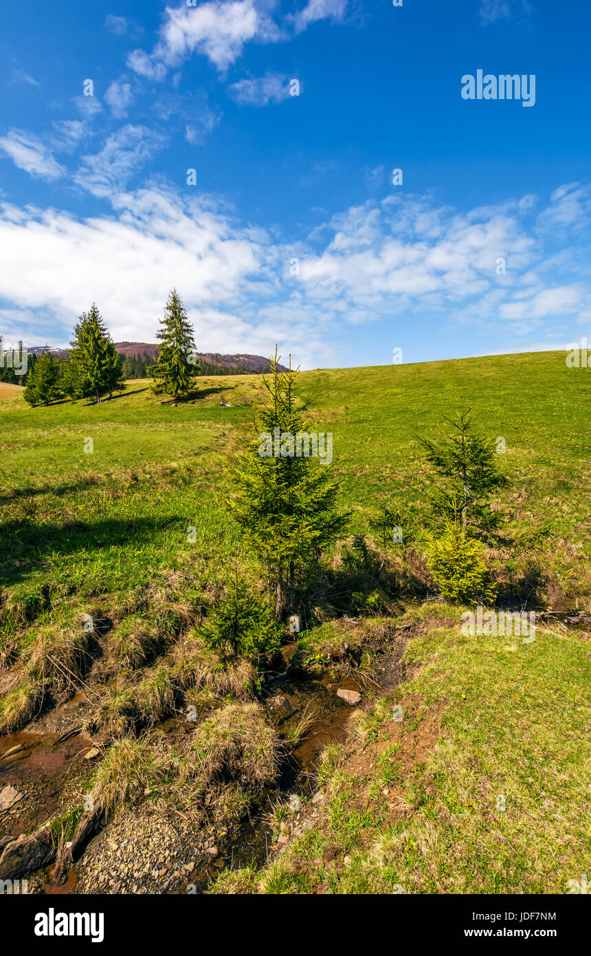 Stream hillside High Resolution Stock Photography and Images - Alamy