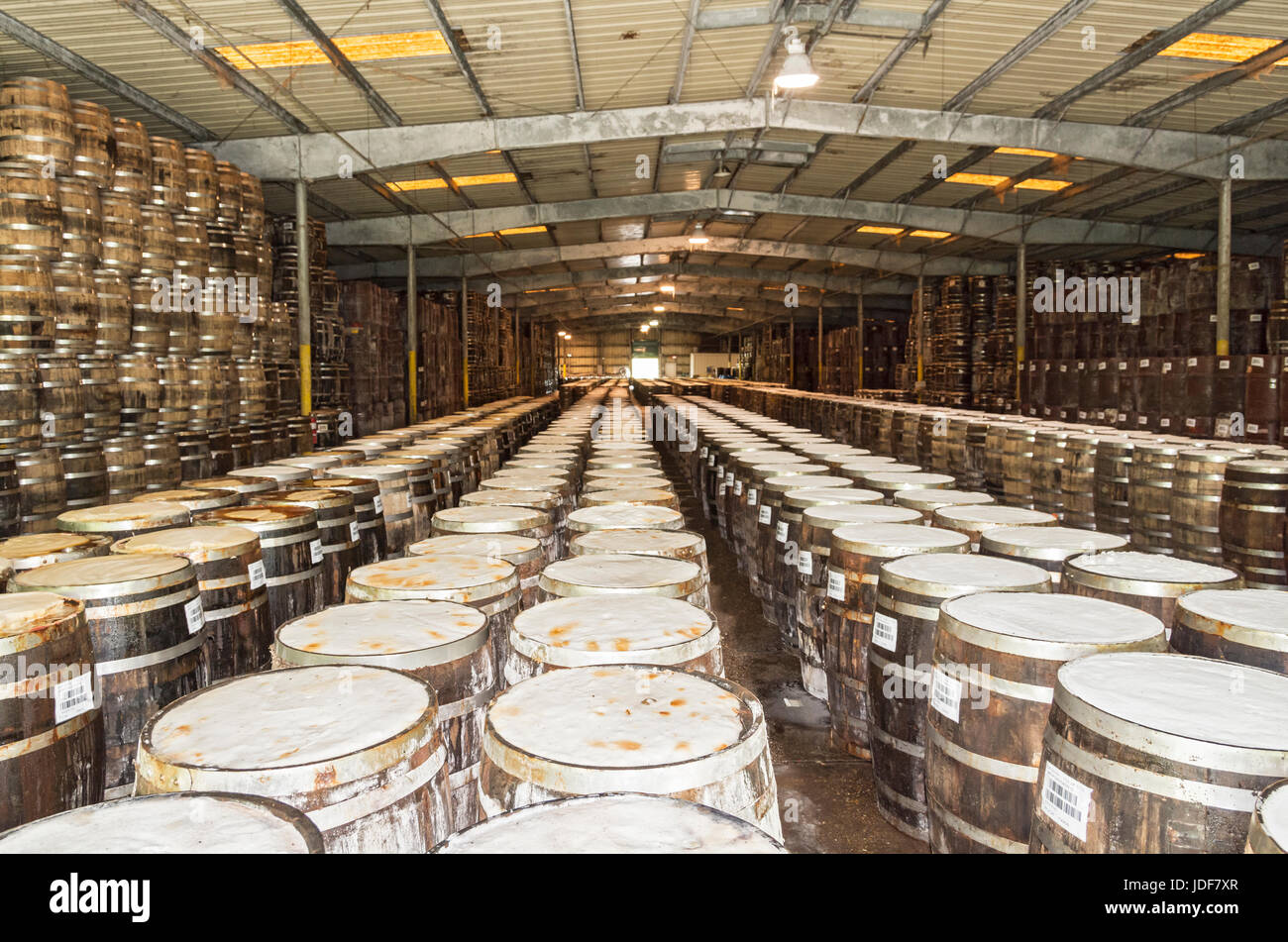 Louisiana, Avery Island, Tabasco Pepper Sauce Factory, self guided tour ...