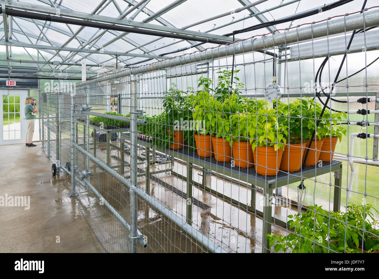Louisiana, Avery Island, Tabasco Pepper Sauce Factory, self guided tour ...
