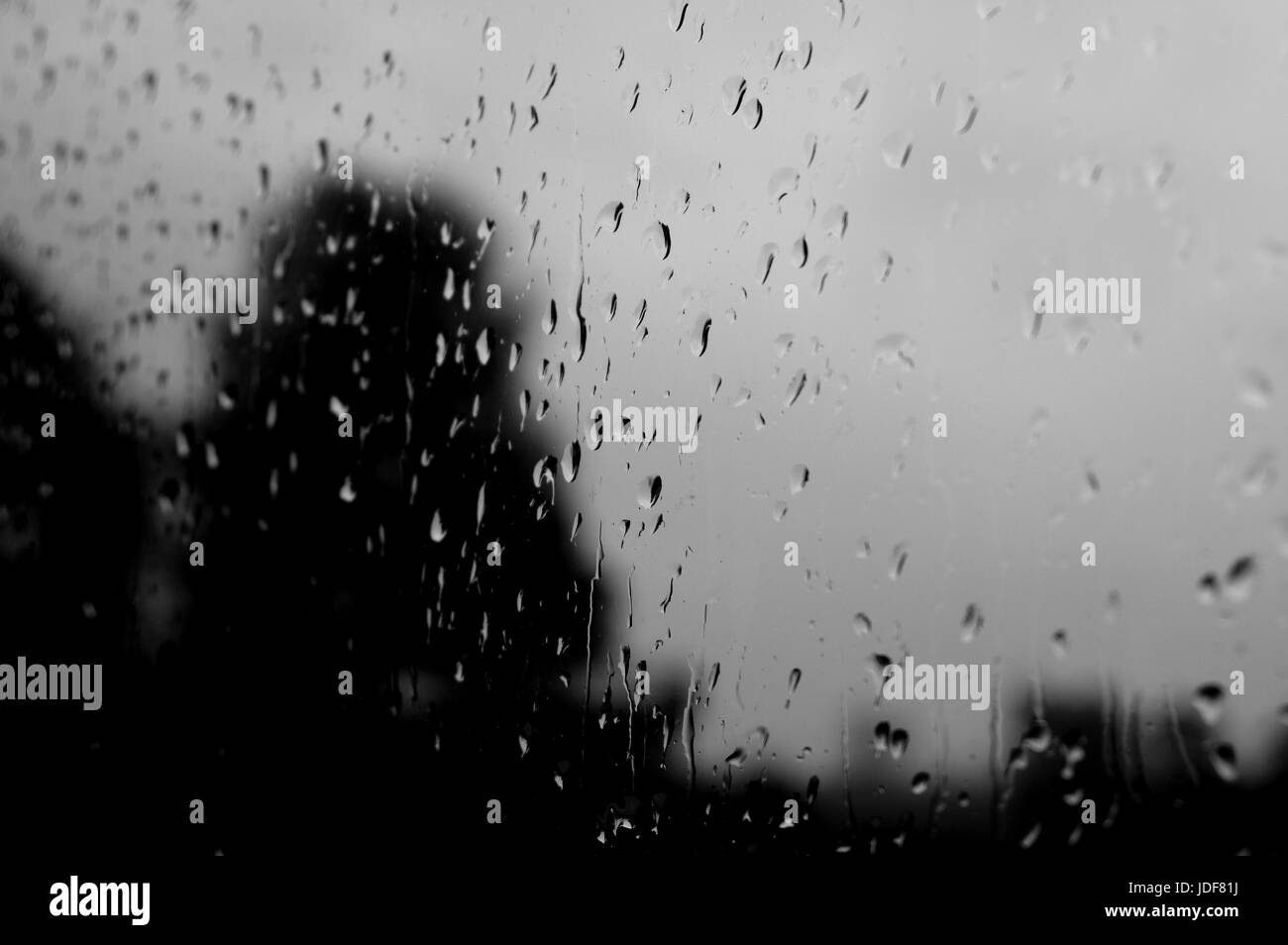 Rain drops, Rain, Drops, Window, Rainy day, Abstract, Structure ...