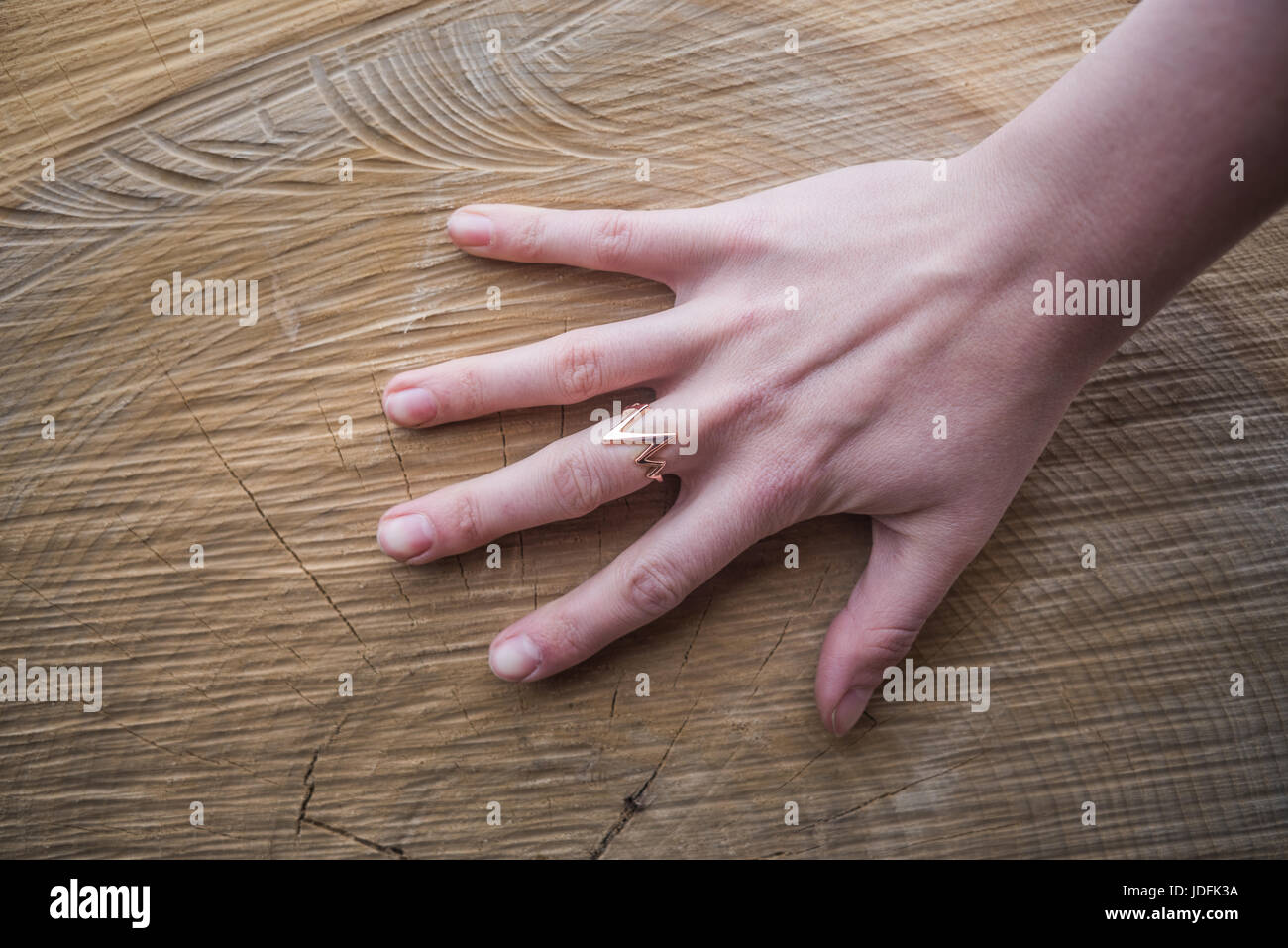 Hand with tree hi-res stock photography and images - Alamy