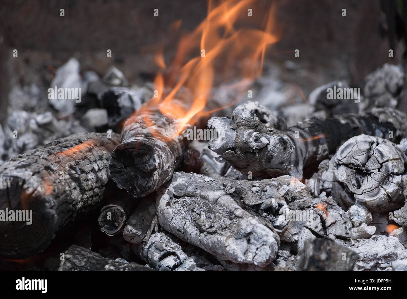 Burning firewood logs inside hi-res stock photography and images - Alamy