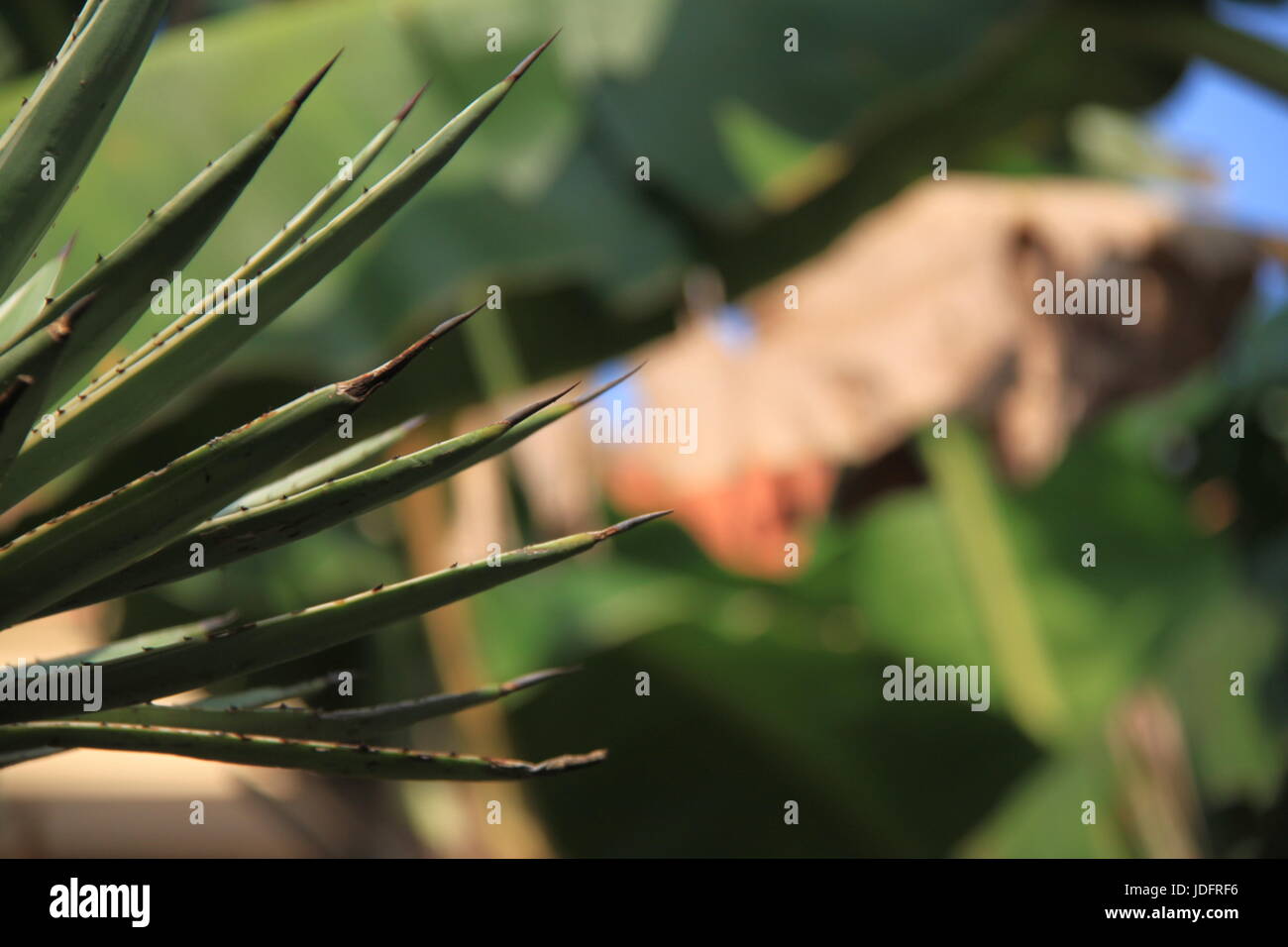 Refreshing Colors Stock Photo - Alamy
