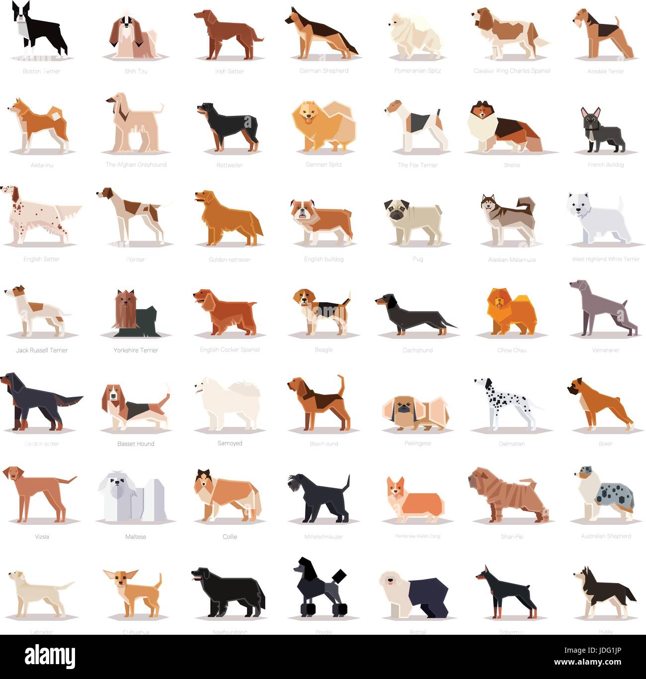 Dog dachshund icon flat Stock Vector Images - Alamy