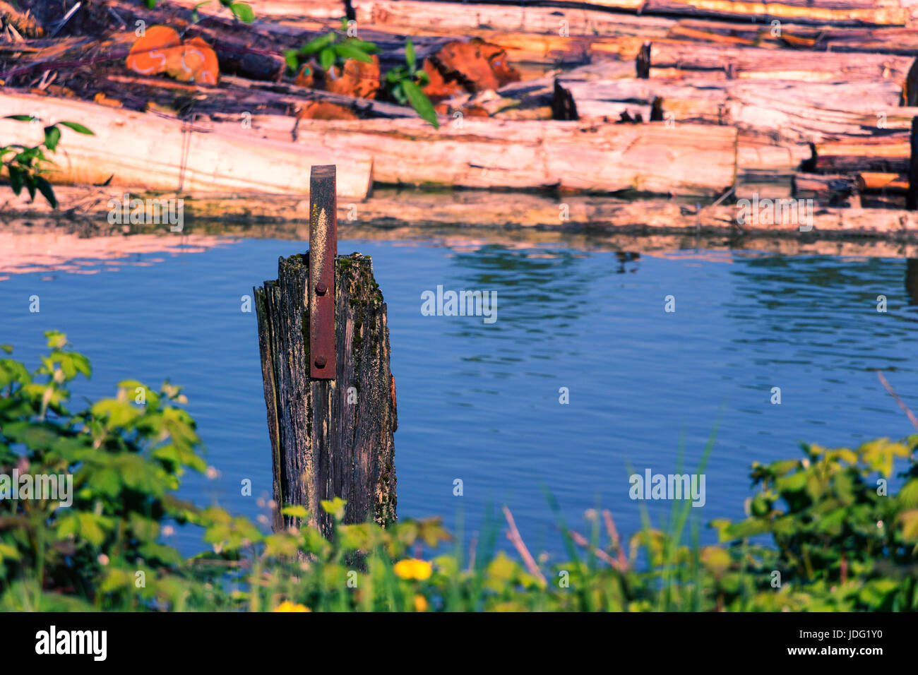 Logging barge hi-res stock photography and images - Alamy