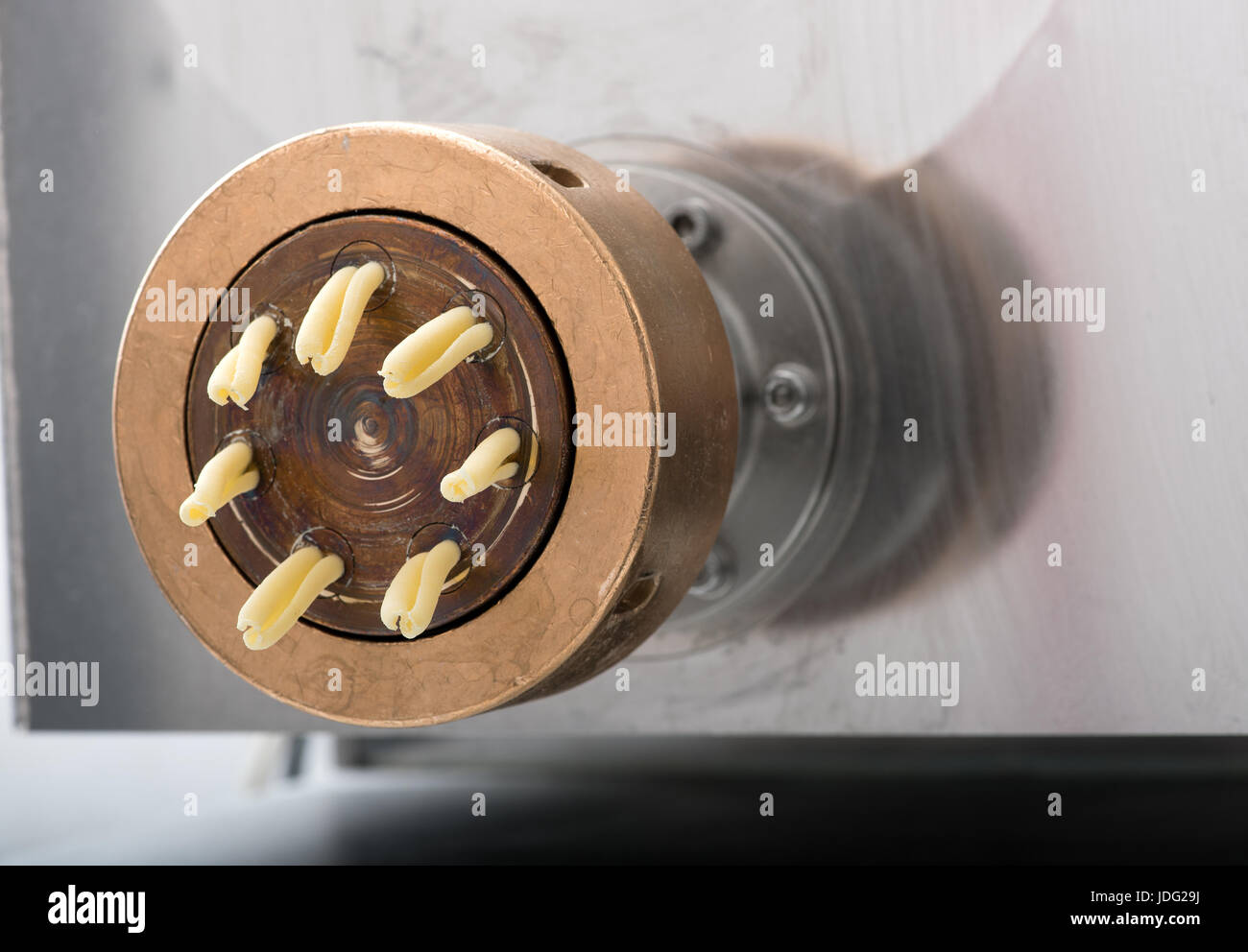 Detail of the die plate for making caserecce pasta in an automated ...