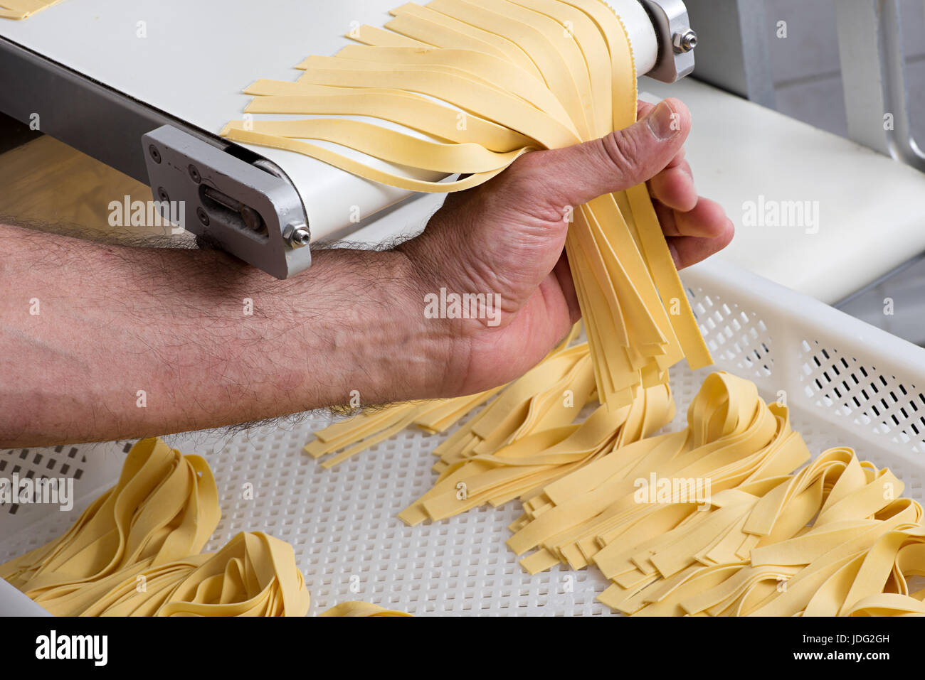 Preparing freshly made tagliatelle Italian pasta cutting the roll of ...
