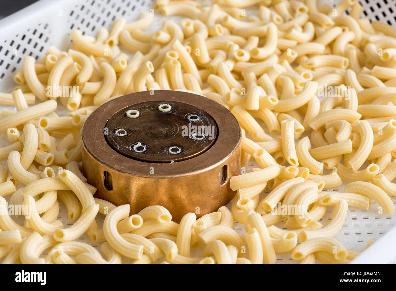 Tubes of freshly made Italian pasta with the die plate for making it ...