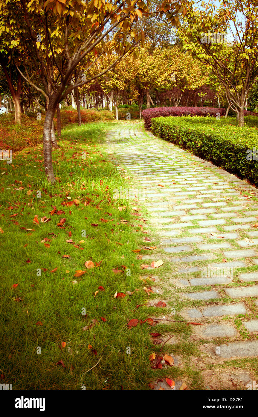 Fall, China's urban trail, leaves are red Stock Photo - Alamy