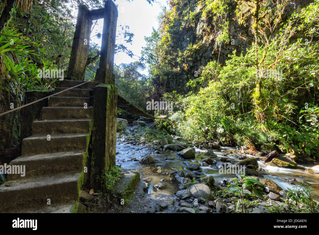 Colombian rainforest and tourist hi-res stock photography and images ...