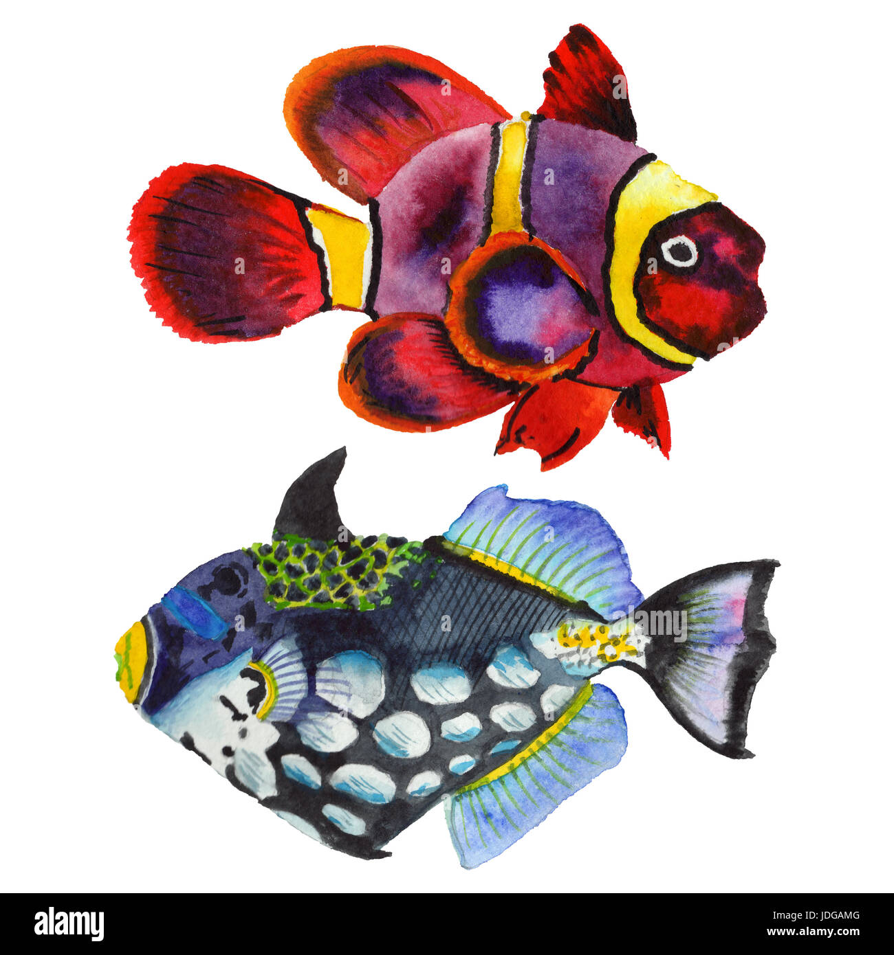 Watercolor aquatic underwater colorful tropical fish set. Red sea and ...