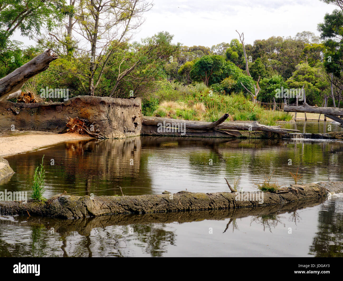 Log water pond hi-res stock photography and images - Alamy