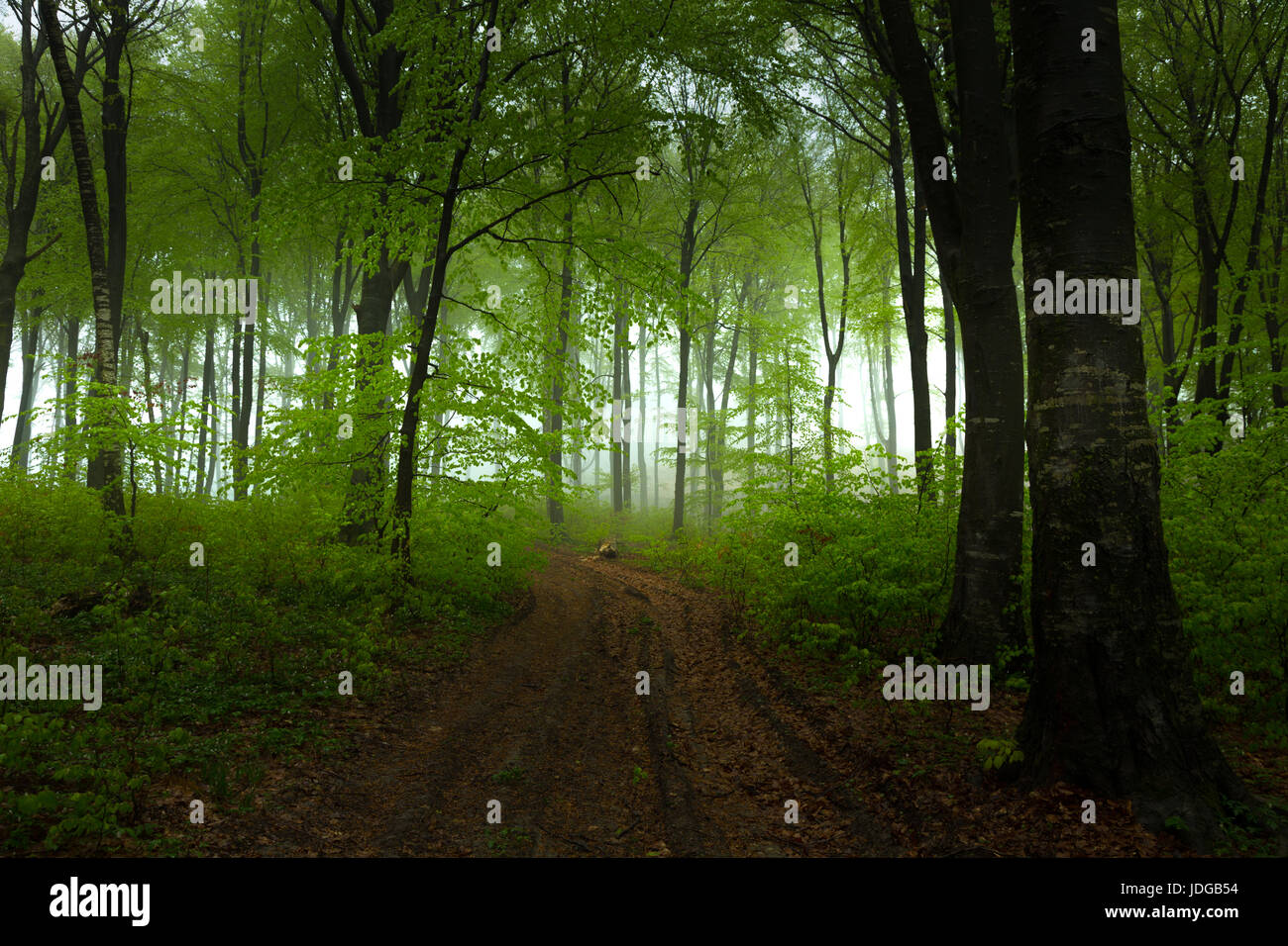 Calm trail hi-res stock photography and images - Alamy