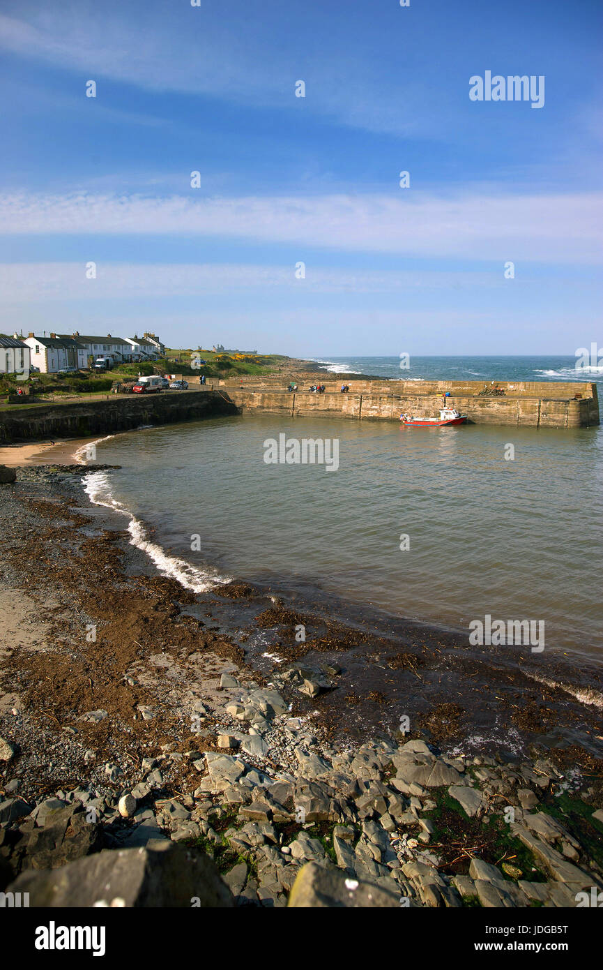 Craster harbour, Northumberland Stock Photo - Alamy
