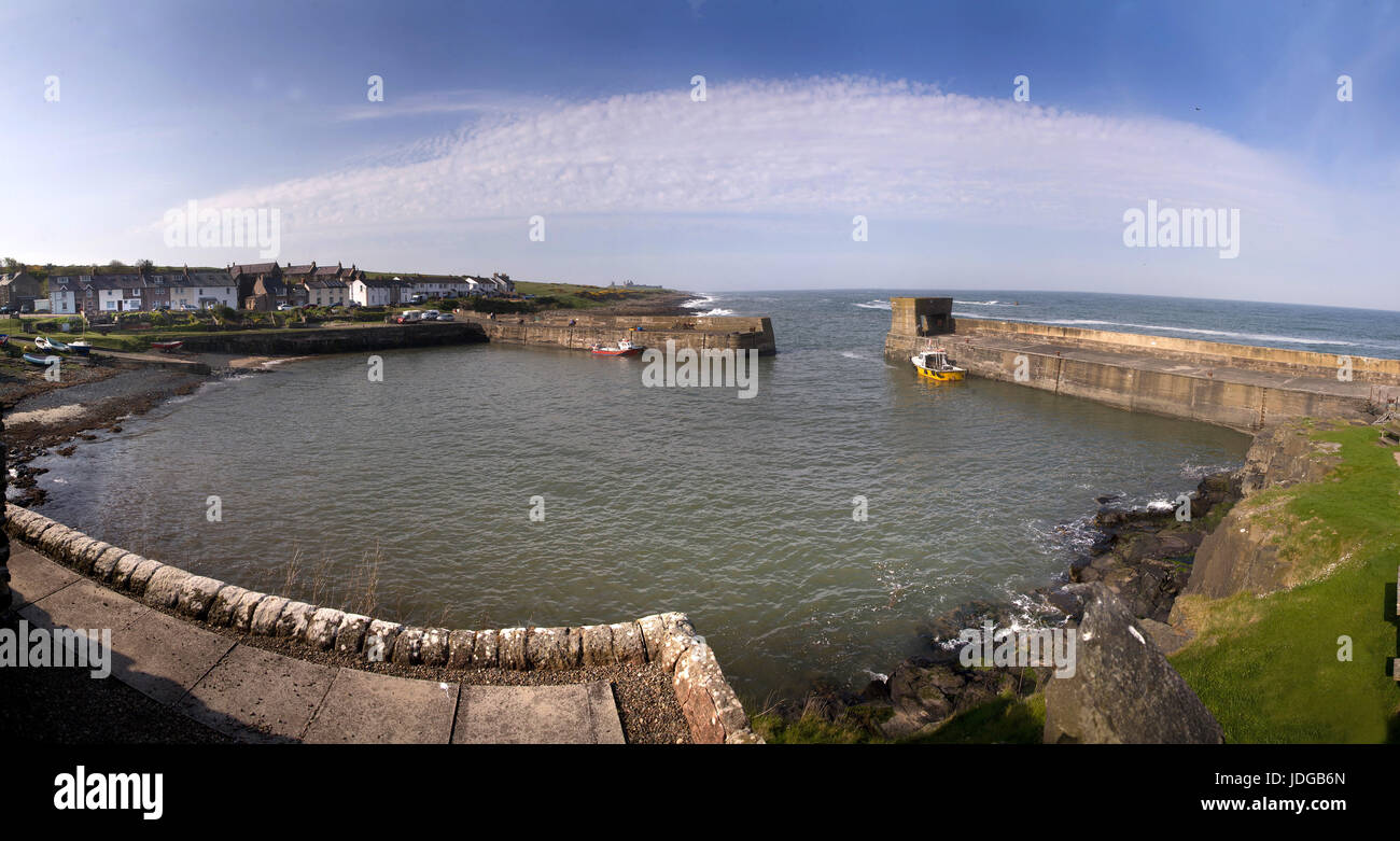 Craster harbour, Northumberland Stock Photo - Alamy