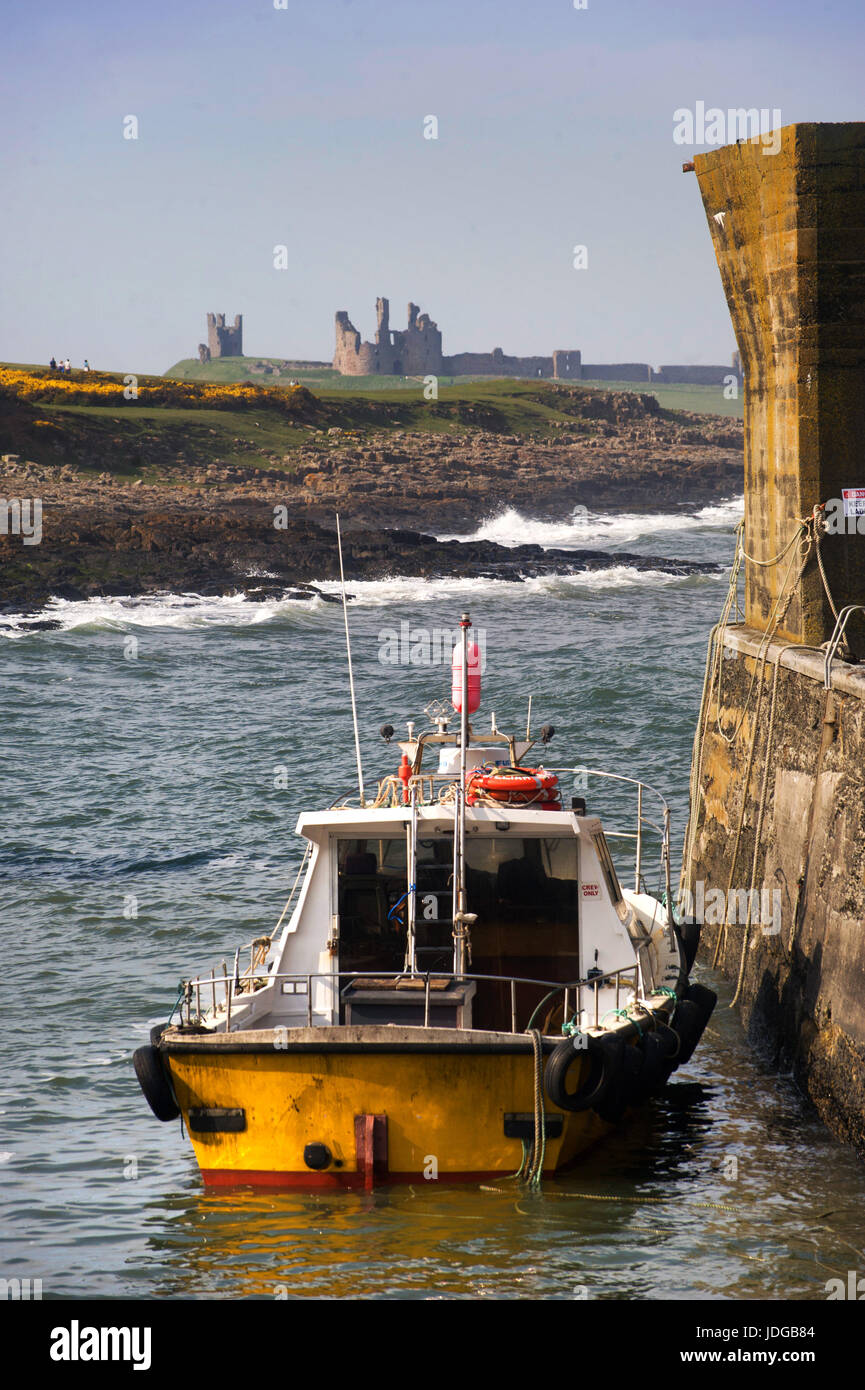 Craster harbour, Northumberland Stock Photo - Alamy