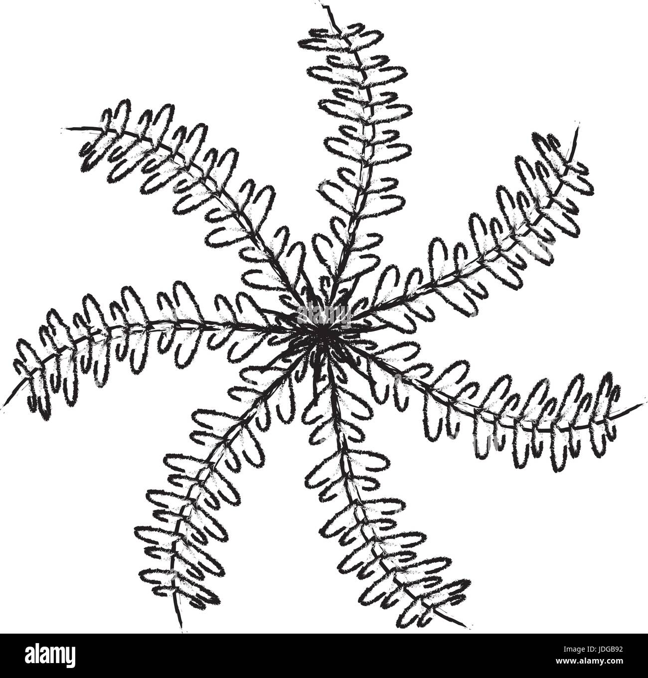 rustic branches with leaves design Stock Vector Image & Art - Alamy