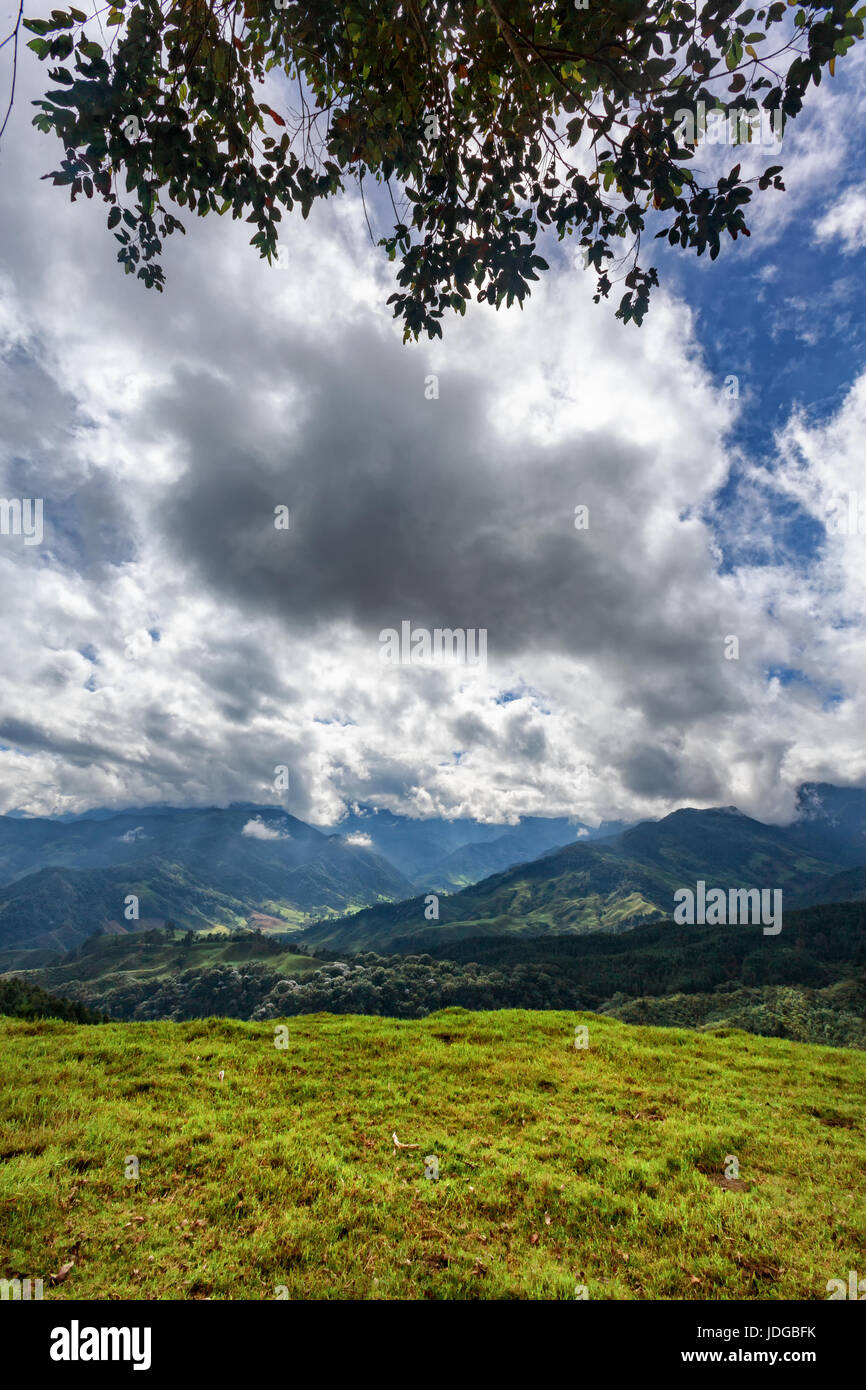 Portrait view of a rural valley near Salento, Colombia Stock Photo - Alamy