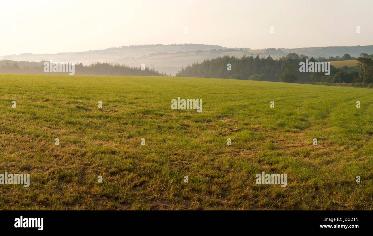 Almost midsummer hi-res stock photography and images - Alamy