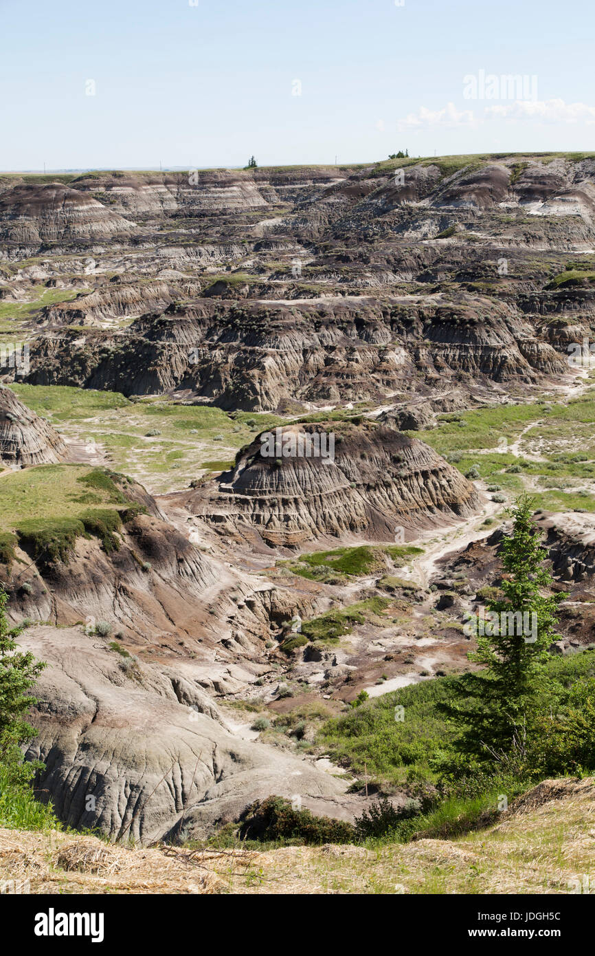 Horseshoe Canyon in Alberta, Canada. The canyon, where stratification ...
