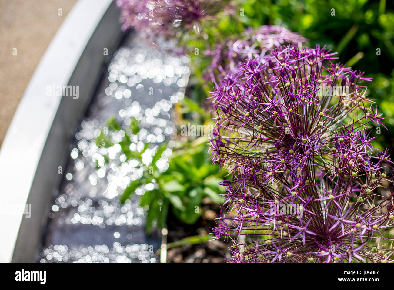 Water Feature atthe National Memorial Arboretum Stock Photo - Alamy