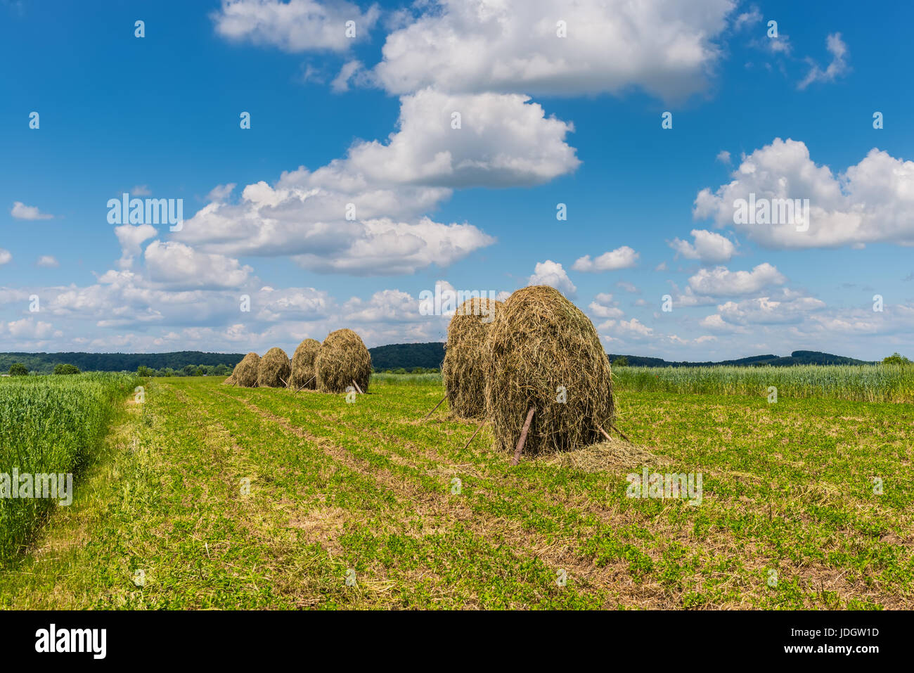 Rolls of haystacks hi-res stock photography and images - Alamy
