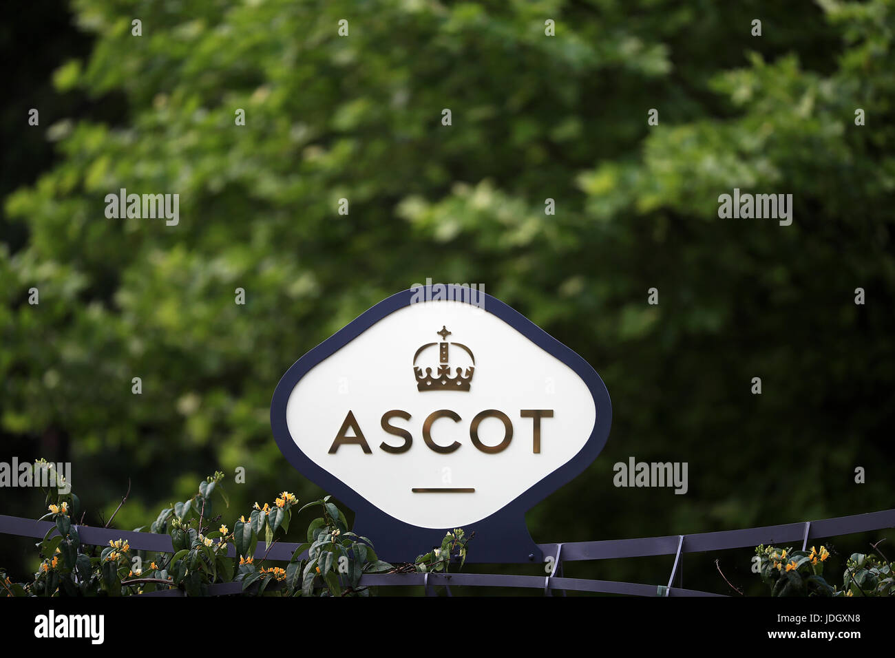 Signage during day one of Royal Ascot at Ascot Racecourse Stock Photo ...