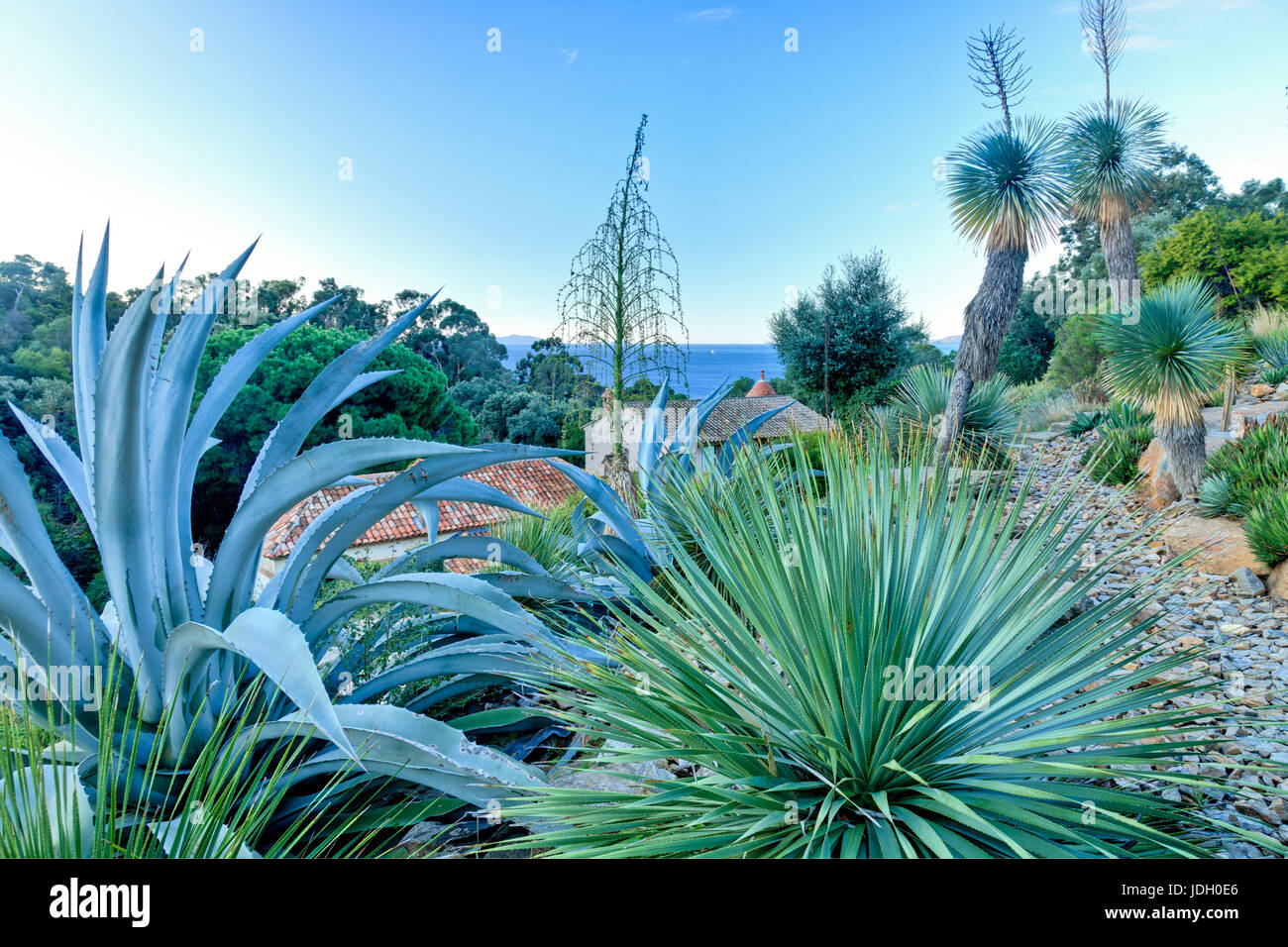 Rayol canadel sur mer hi-res stock photography and images - Alamy