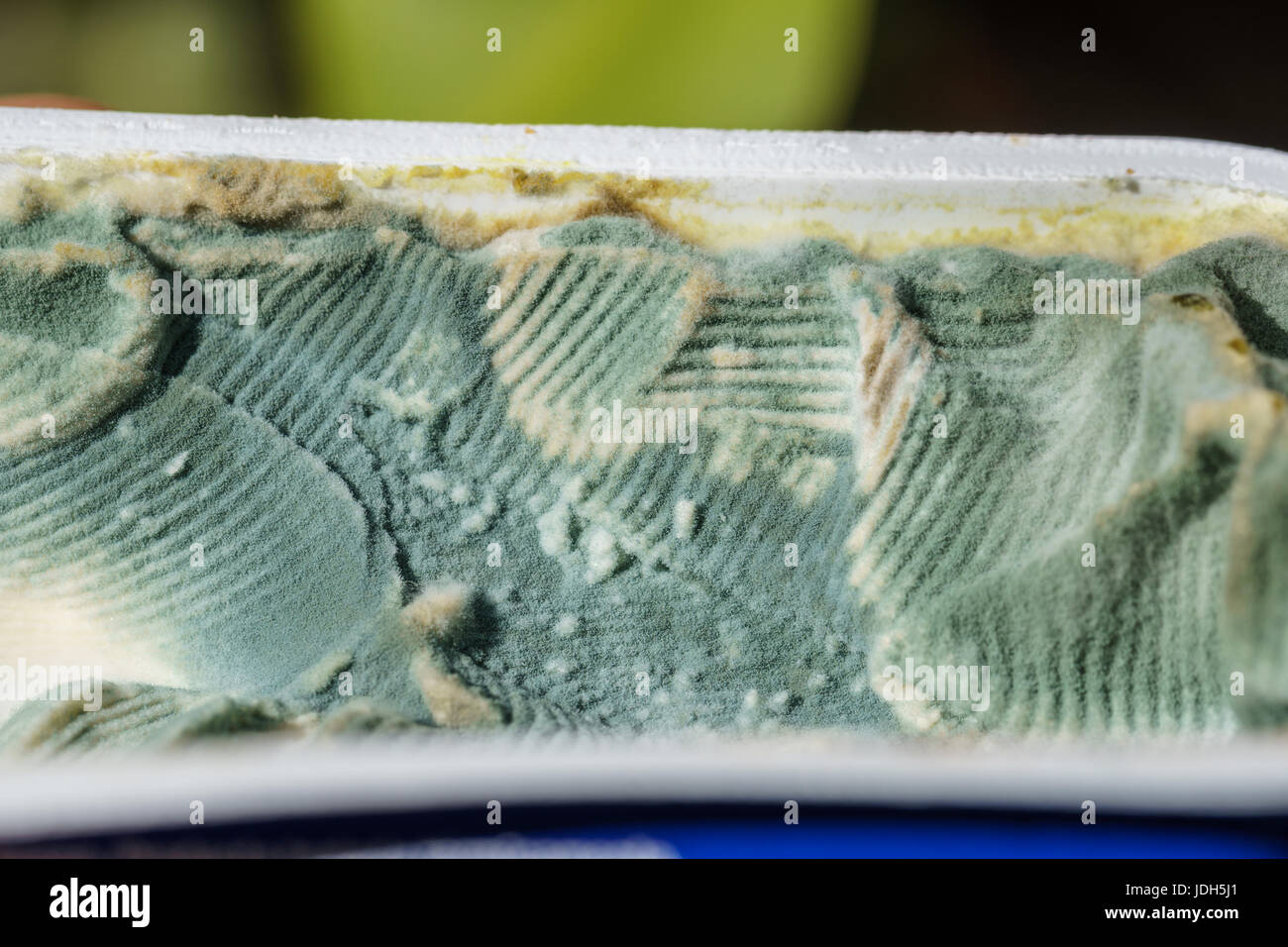 Rotten Cheese High Resolution Stock Photography and Images - Alamy