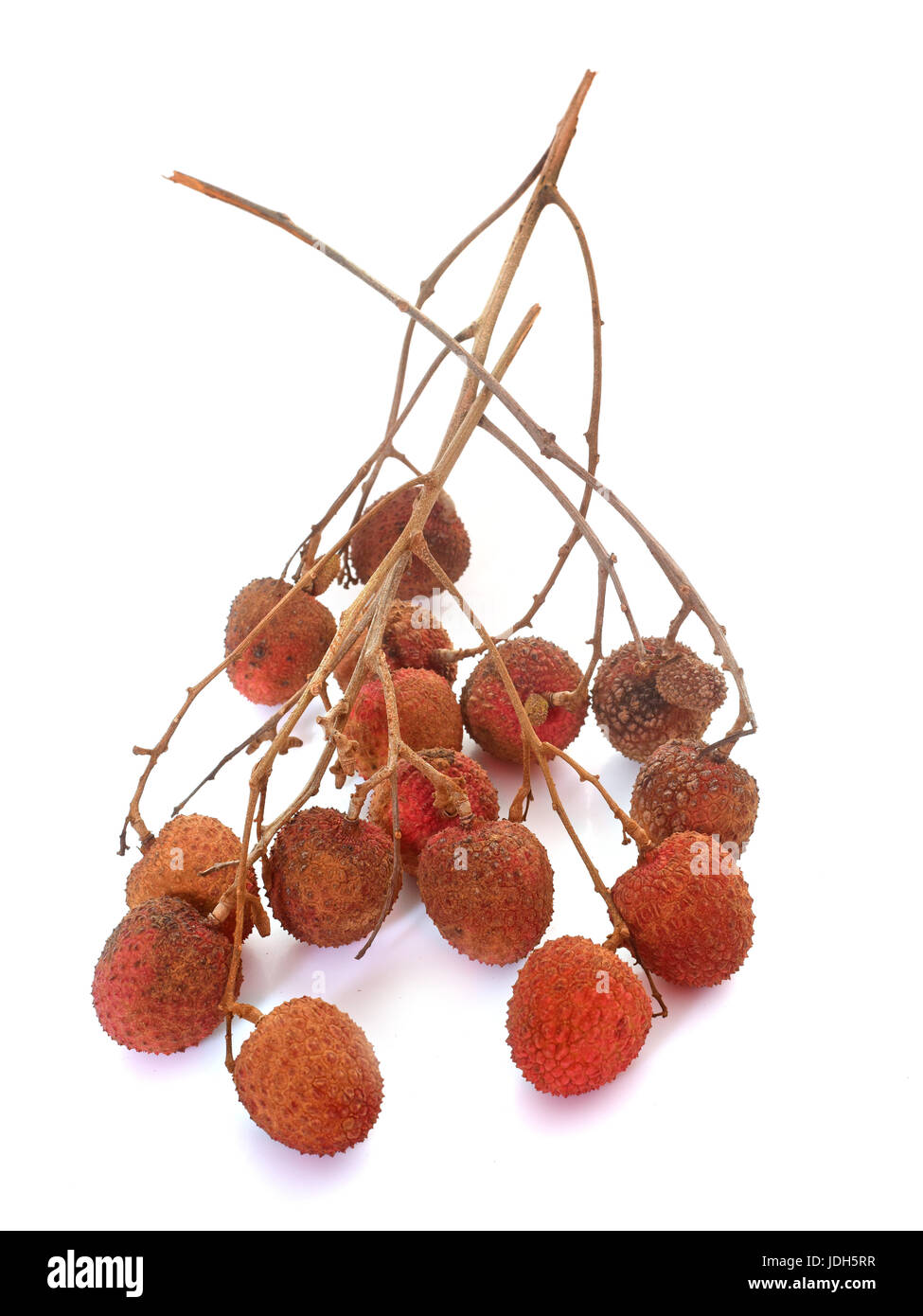 branch of lychees in front of white background Stock Photo - Alamy