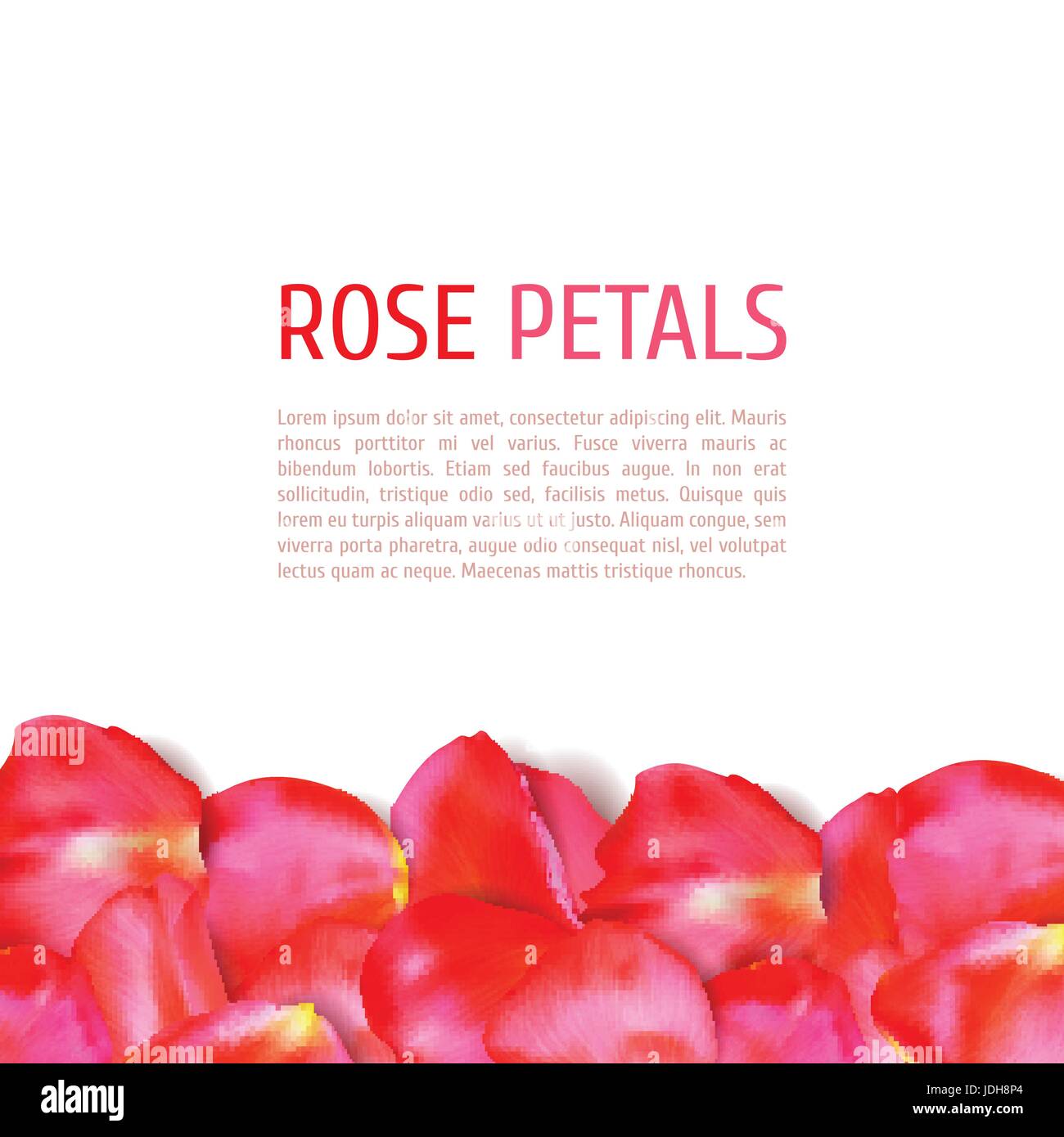 Rose petals border Stock Vector Image & Art - Alamy