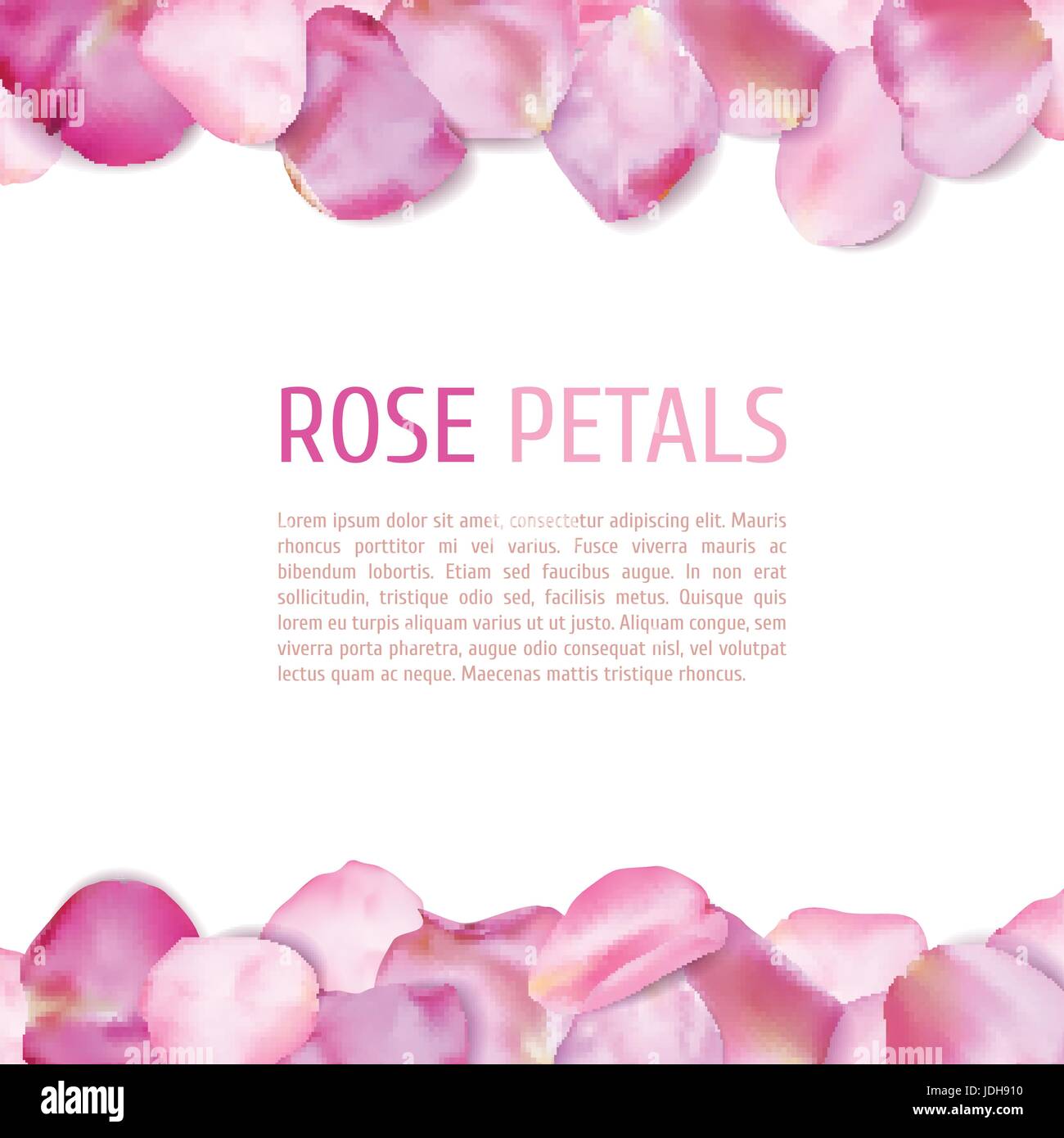 Real flower border Stock Vector Images - Alamy