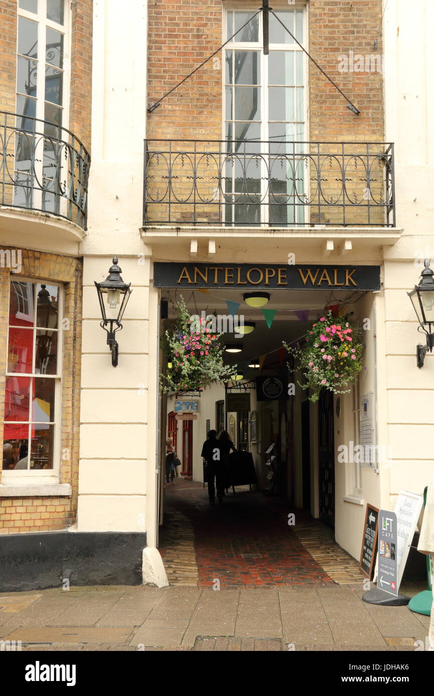 Antelope Walk arcade,Dorchester,Dorset,UK Stock Photo - Alamy