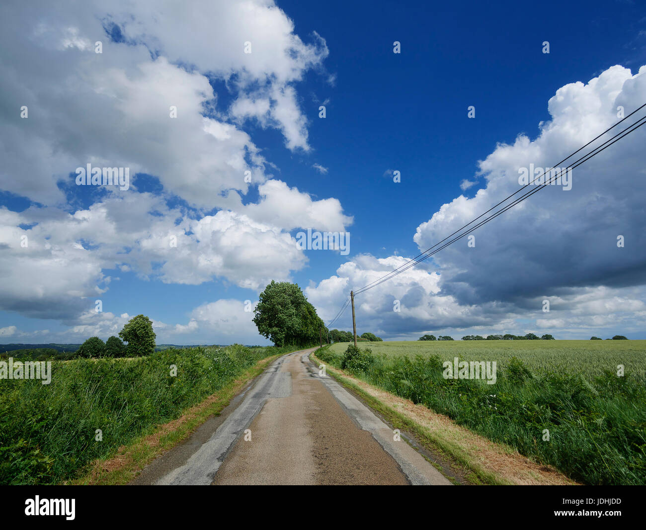 Field with country road in spring hi-res stock photography and images ...