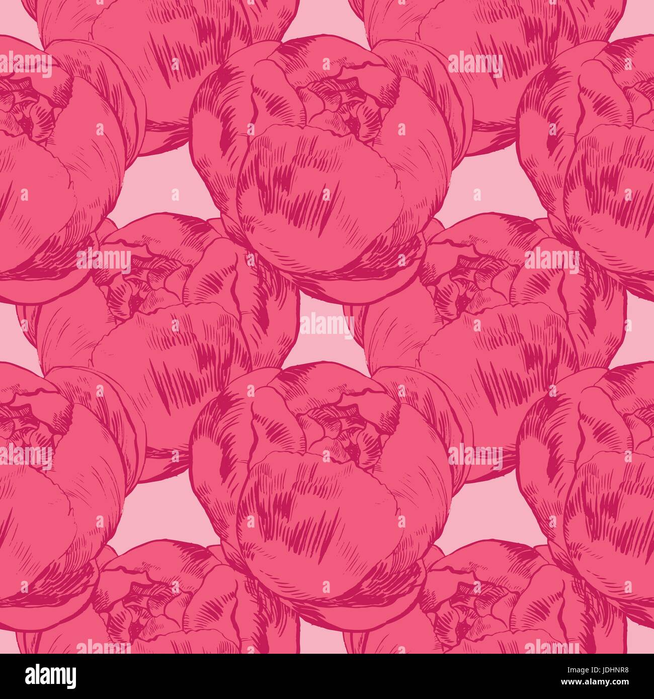 Hand-drawing peonies. Vector graphic flowers. Decorative background for ...