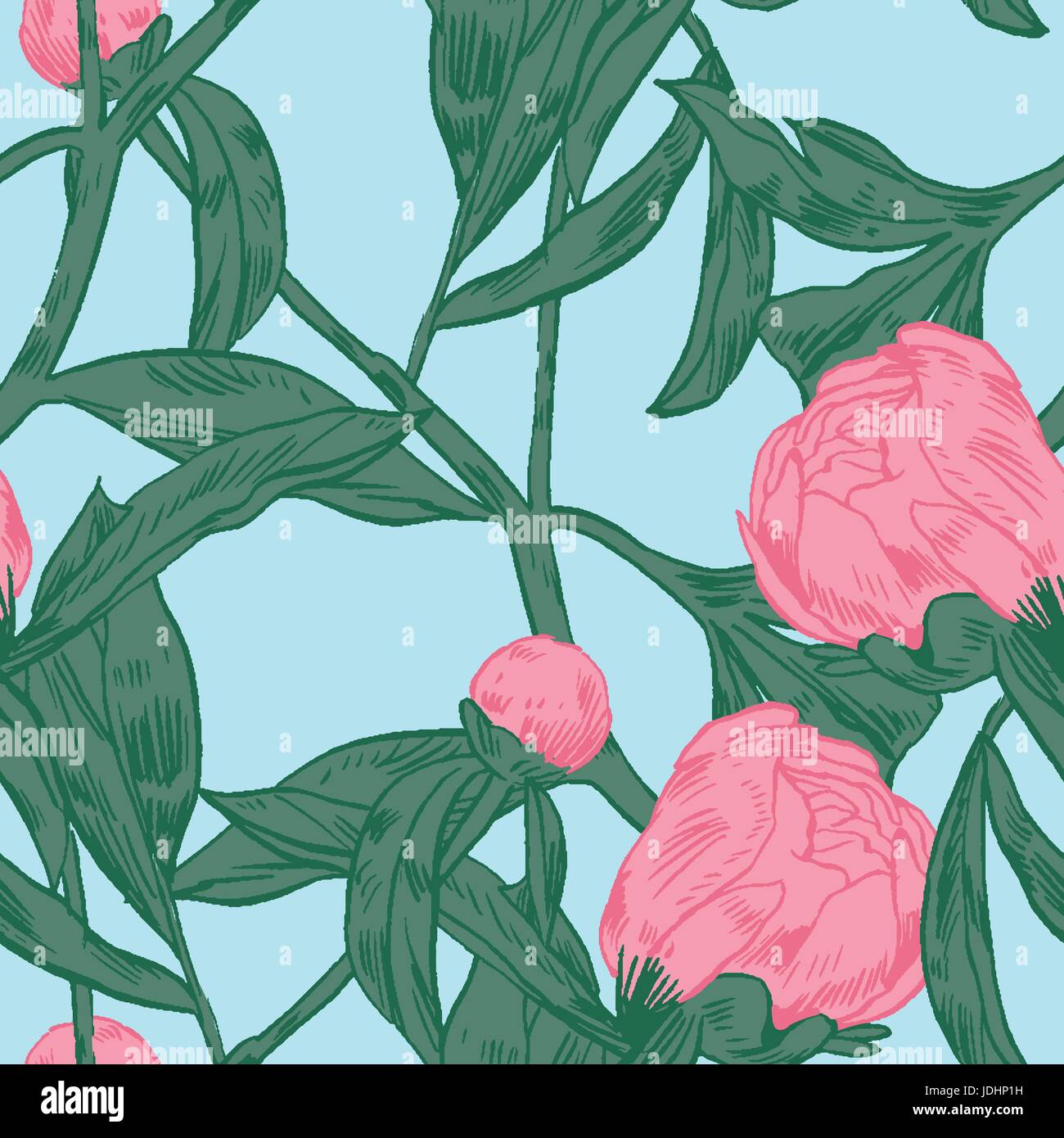 Hand-drawing peonies. Vector graphic flowers. Decorative background for ...